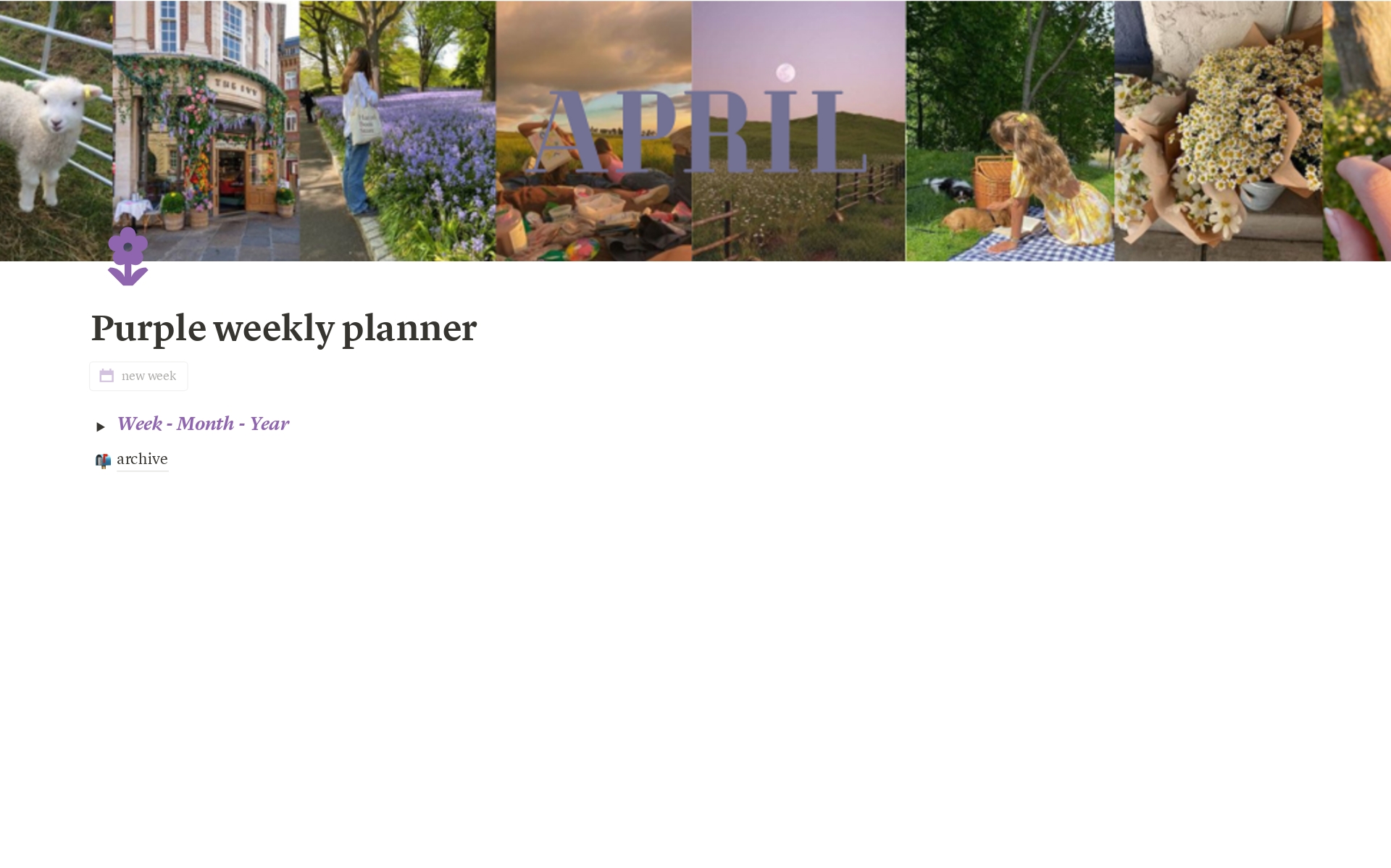 Purple weekly planner Template | Notion Marketplace