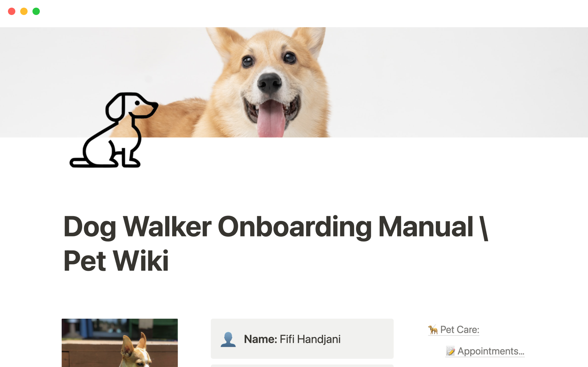 Dog walker onboarding manual Template by Mohammad A Handjani | Notion ...