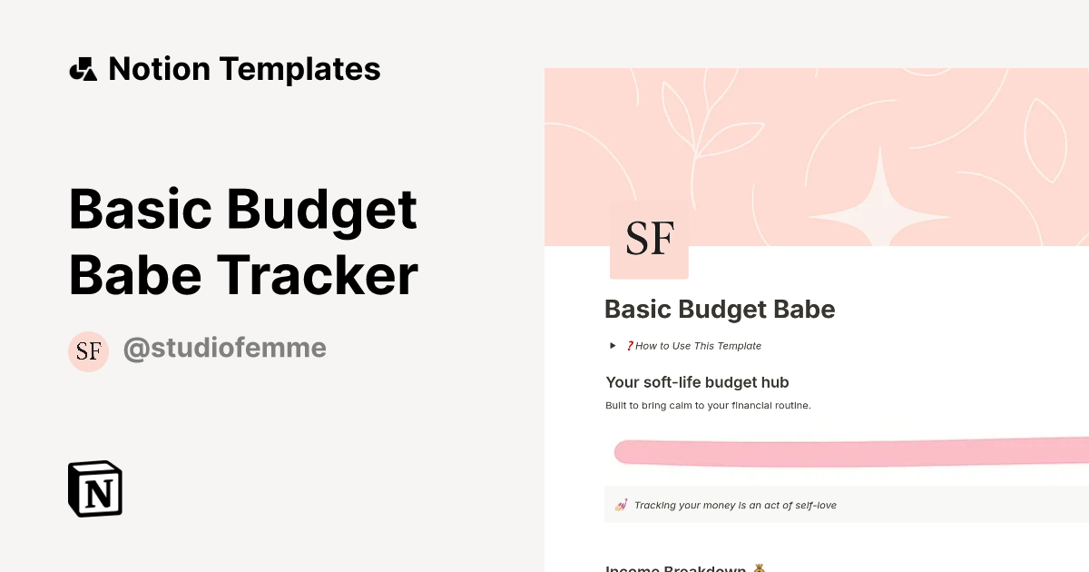 Basic Budget Babe Tracker Template by Studio Femme | Notion Marketplace