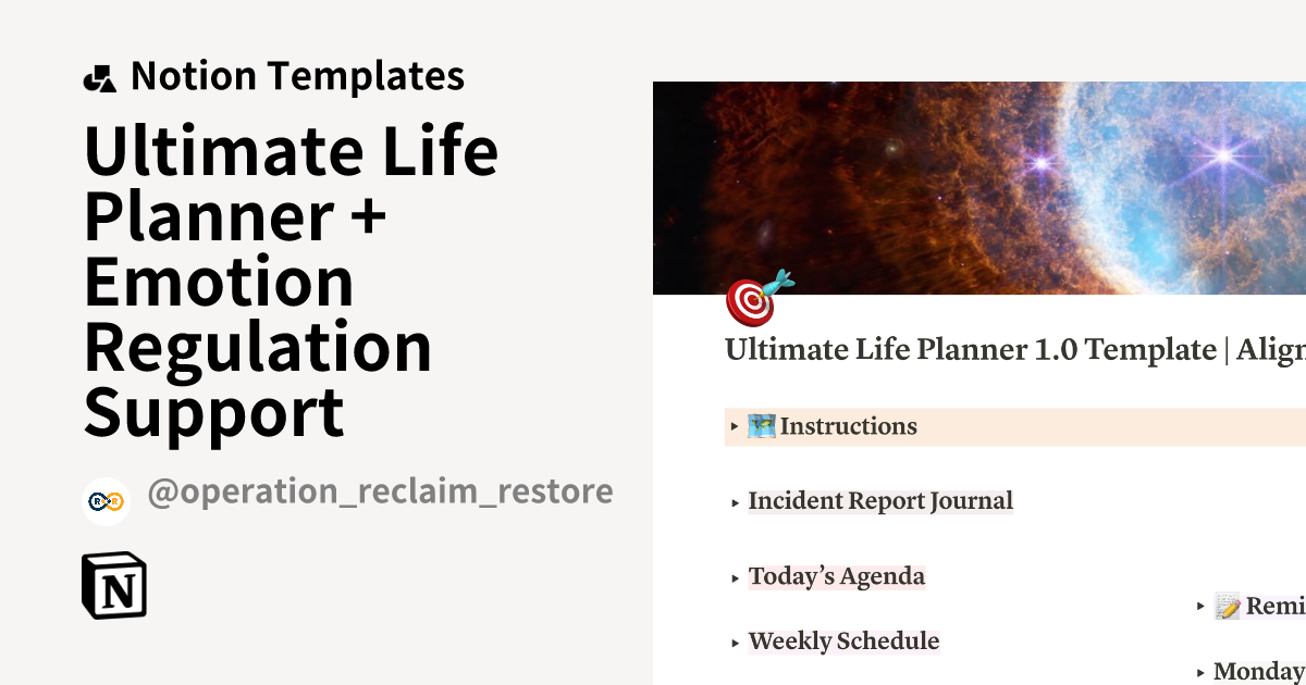 Ultimate Life Planner + Emotion Regulation Support Template by Align ...