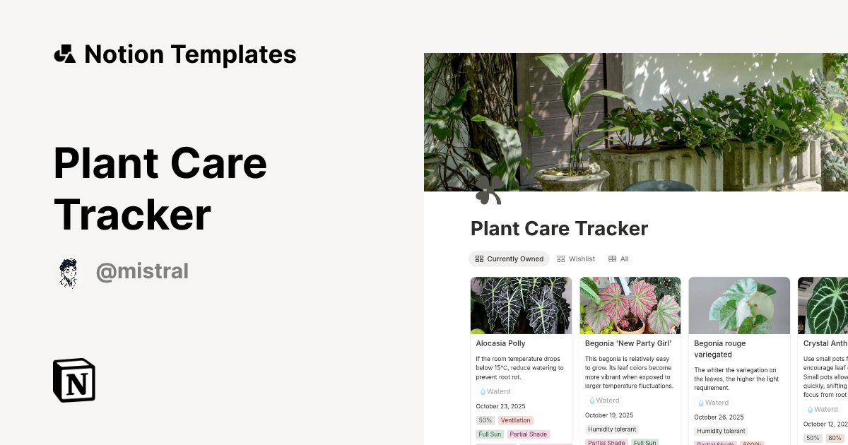 Plant Care Tracker Template | Notion Marketplace