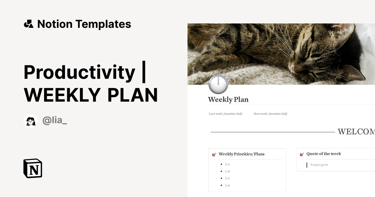 Productivity | WEEKLY PLAN Template | Notion Marketplace