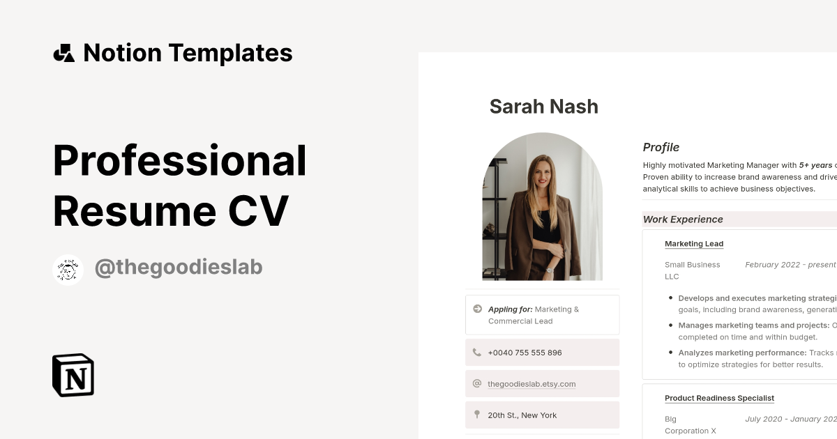 Professional Resume CV Template by The Goodies Lab | Notion Marketplace
