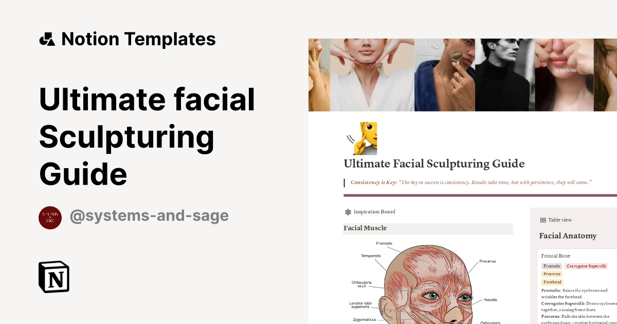 Ultimate facial Sculpturing Guide Template | Notion Marketplace