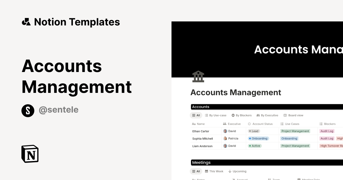 Accounts Management Template | Notion Marketplace