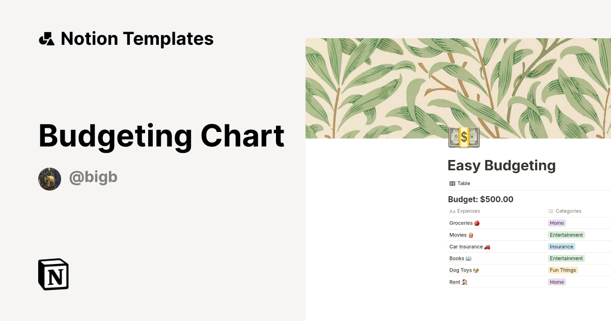 Budgeting Chart Template by Bebe | Notion Marketplace