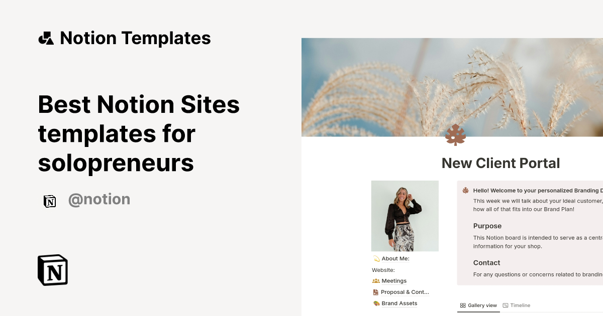 Best Notion Sites templates for solopreneurs | Notion Template Marketplace
