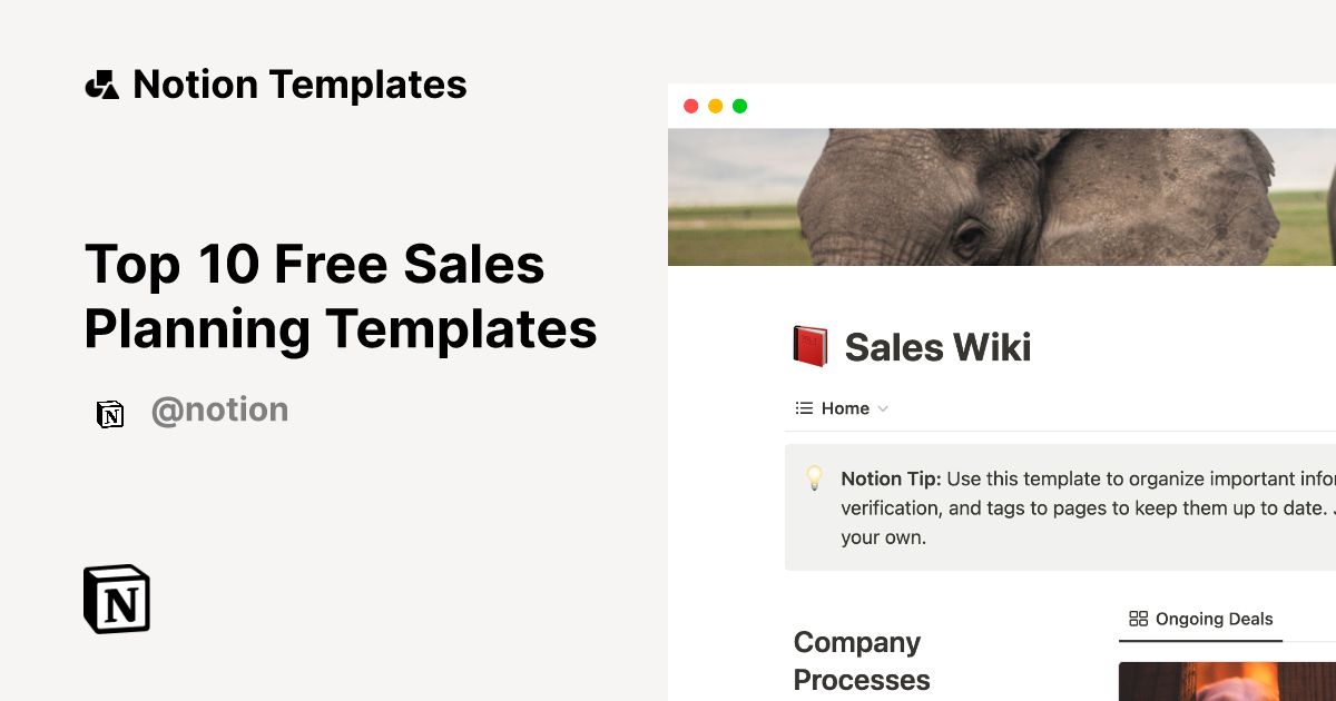 Top 10 Free Sales Planning Templates | Notion Template Marketplace