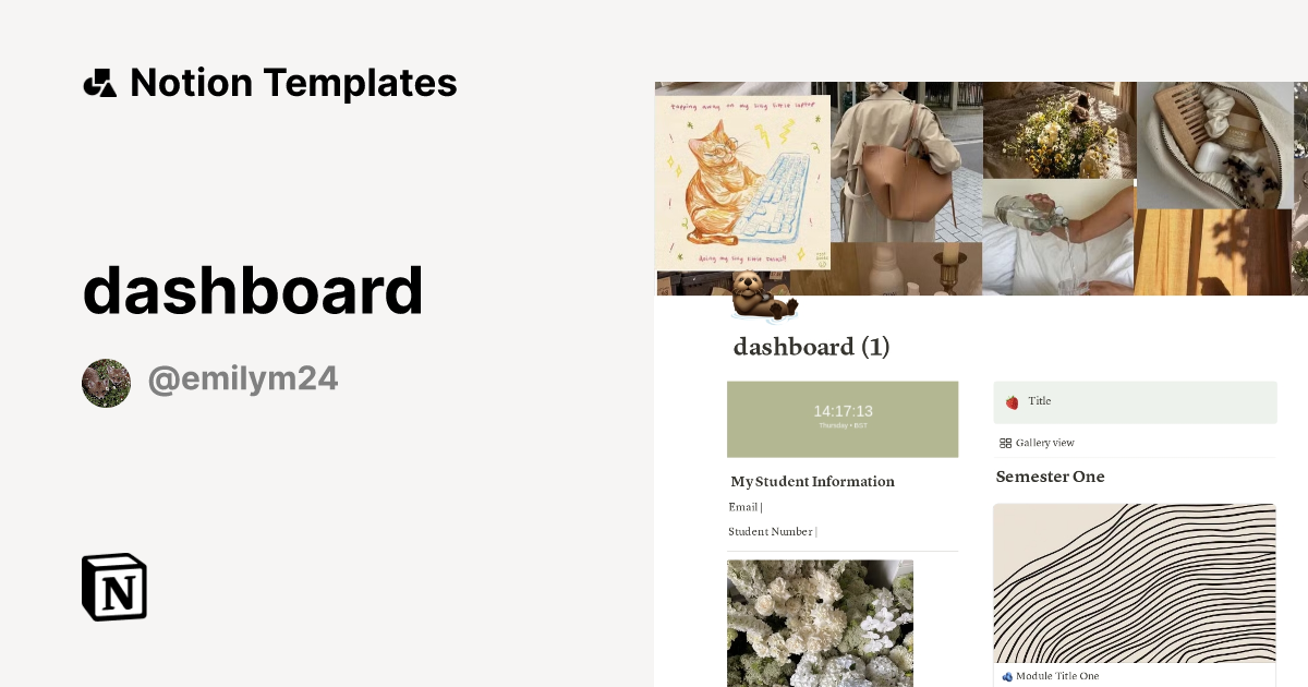 dashboard Template | Notion Marketplace