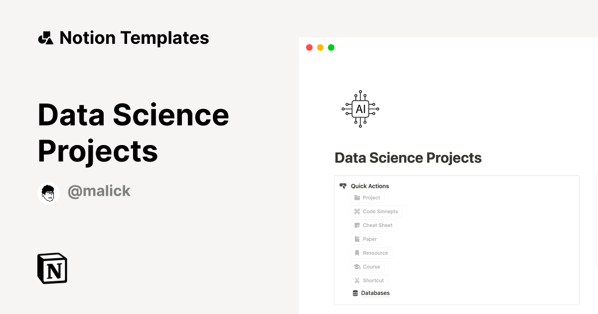 Data Science Projects Template Notion Marketplace