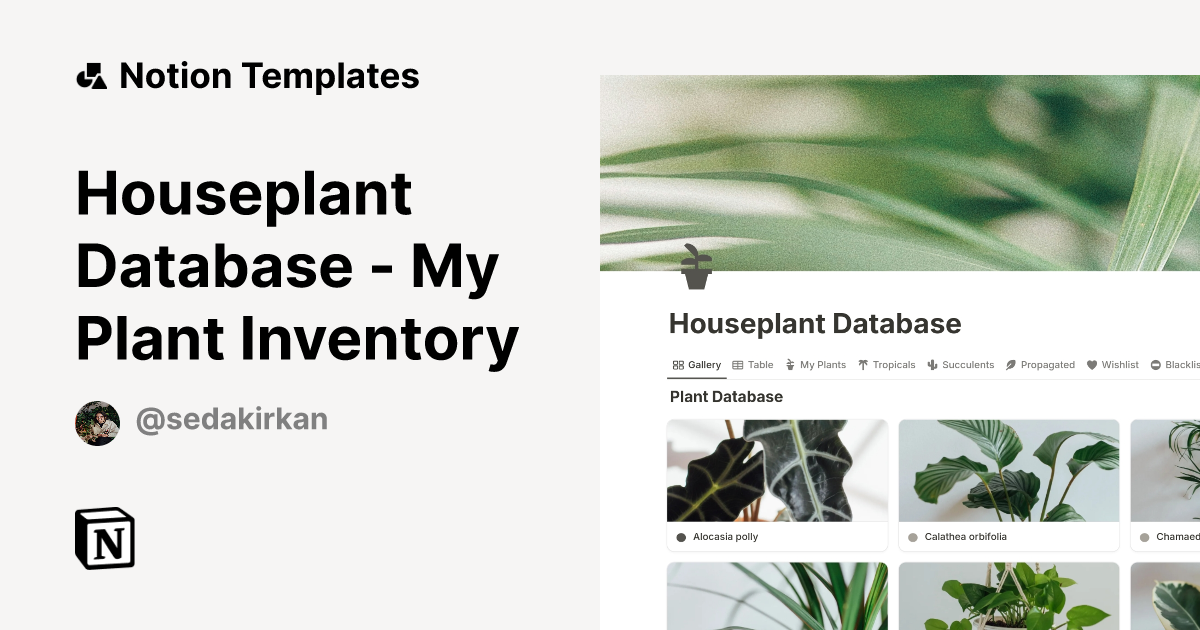 Houseplant Database - My Plant Inventory Template by Seda Kirkan ...