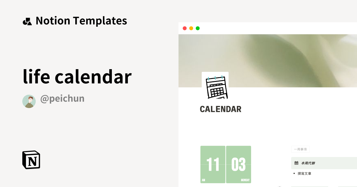 life calendar Template | Notion Marketplace