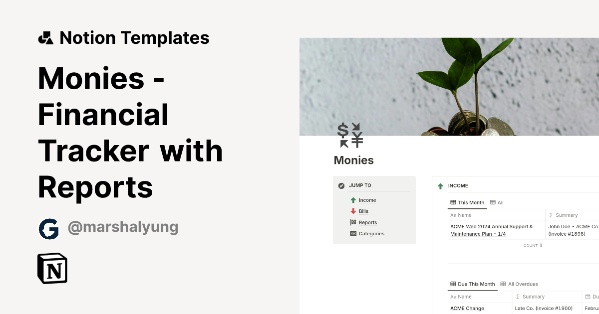 Monies - Financial Tracker with Reports Template | Notion Marketplace