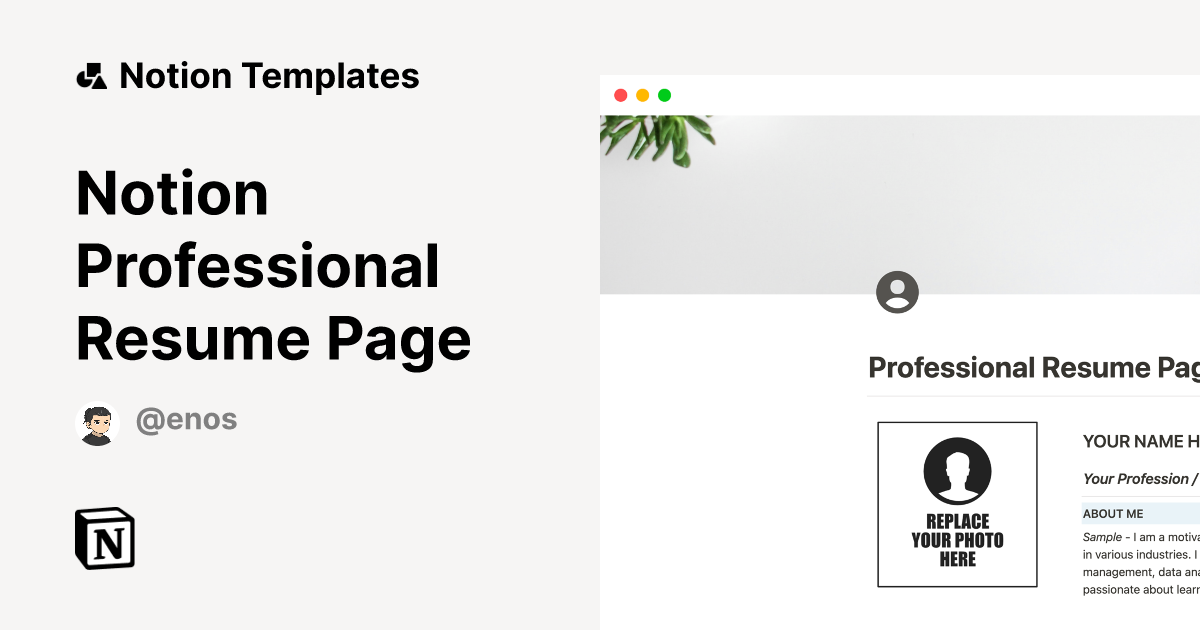 Notion Professional Resume Page Template | Notion Marketplace