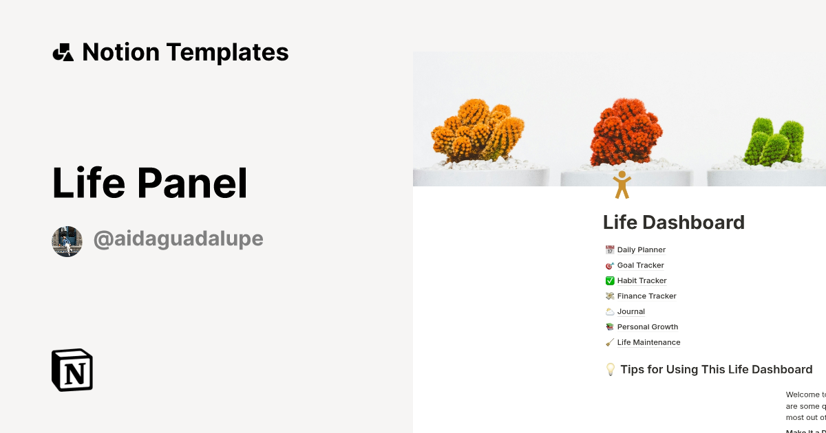 Life Panel Template | Notion Marketplace