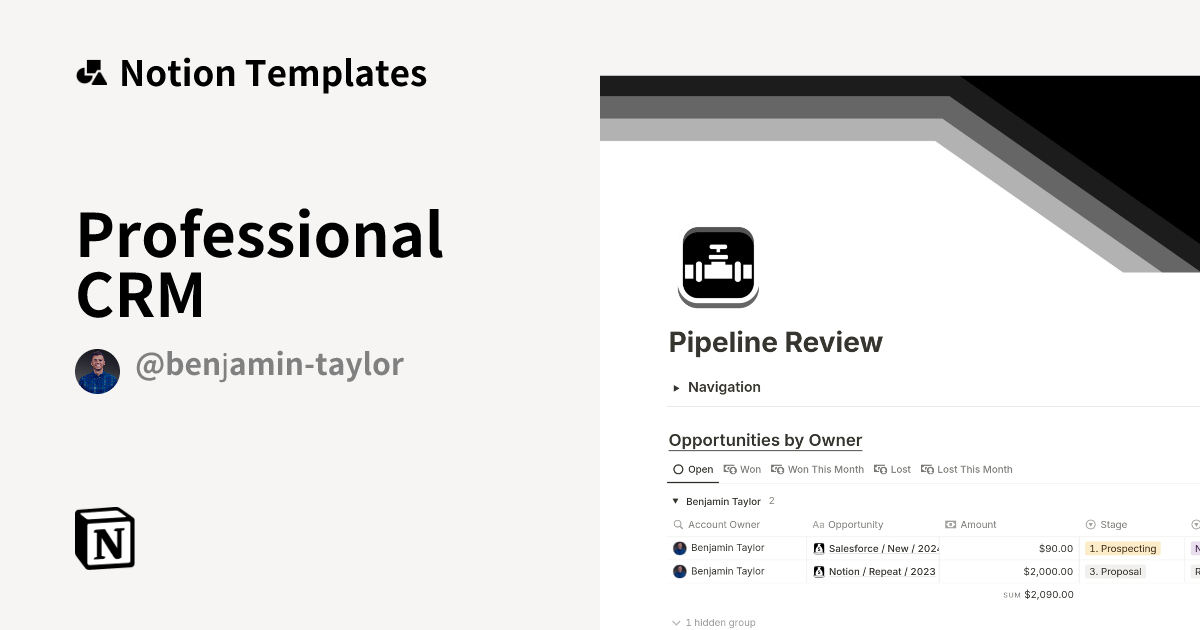 Professional CRM Template by Benjamin Taylor | Notion Marketplace