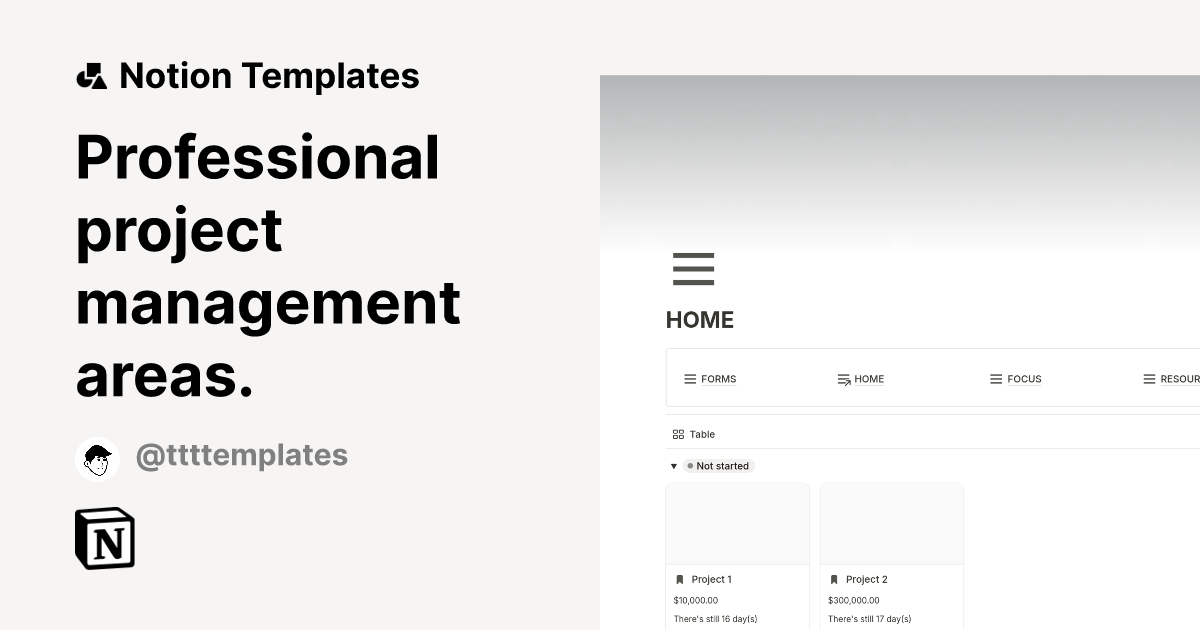 Professional project management areas. Template | Notion Marketplace