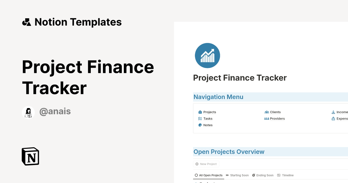 Project Finance Tracker Template | Notion Marketplace