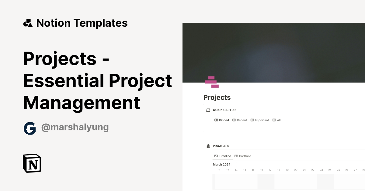 Projects - Essential Project Management Template | Notion Marketplace