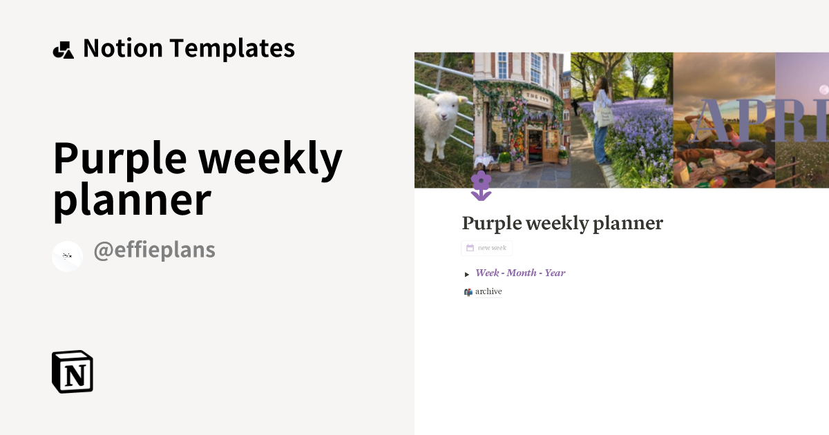 Purple weekly planner Template | Notion Marketplace