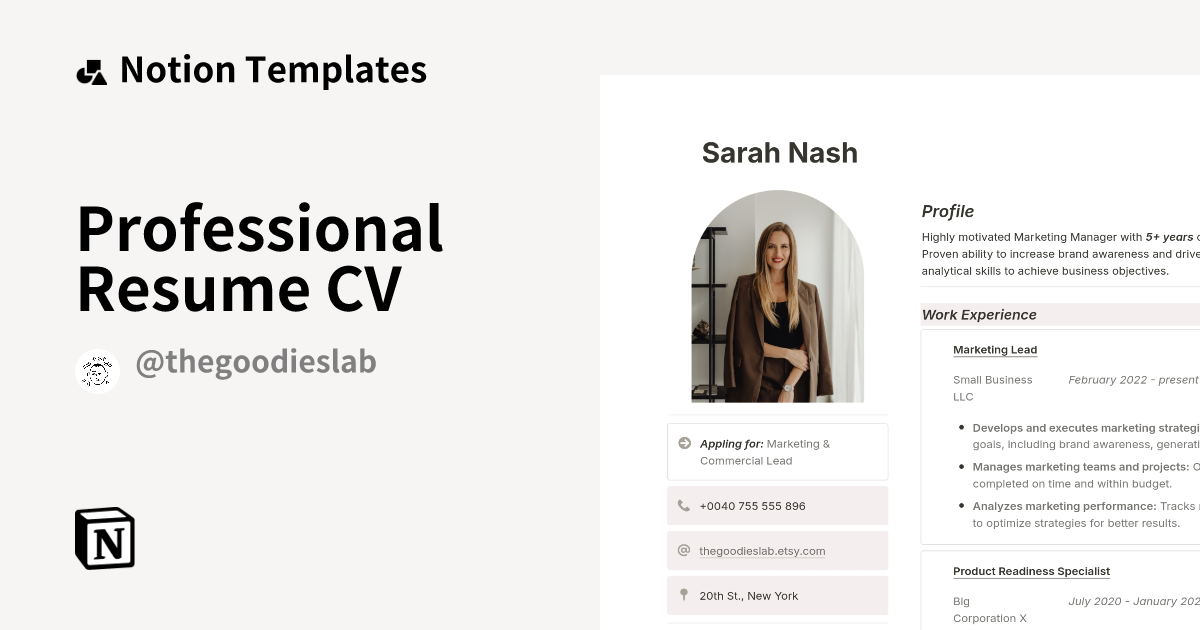 Professional Resume CV Template by The Goodies Lab | Notion Marketplace