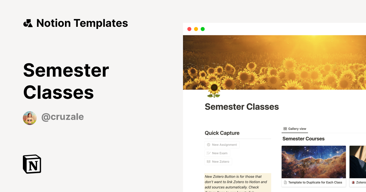 Semester Classes Template | Notion Marketplace