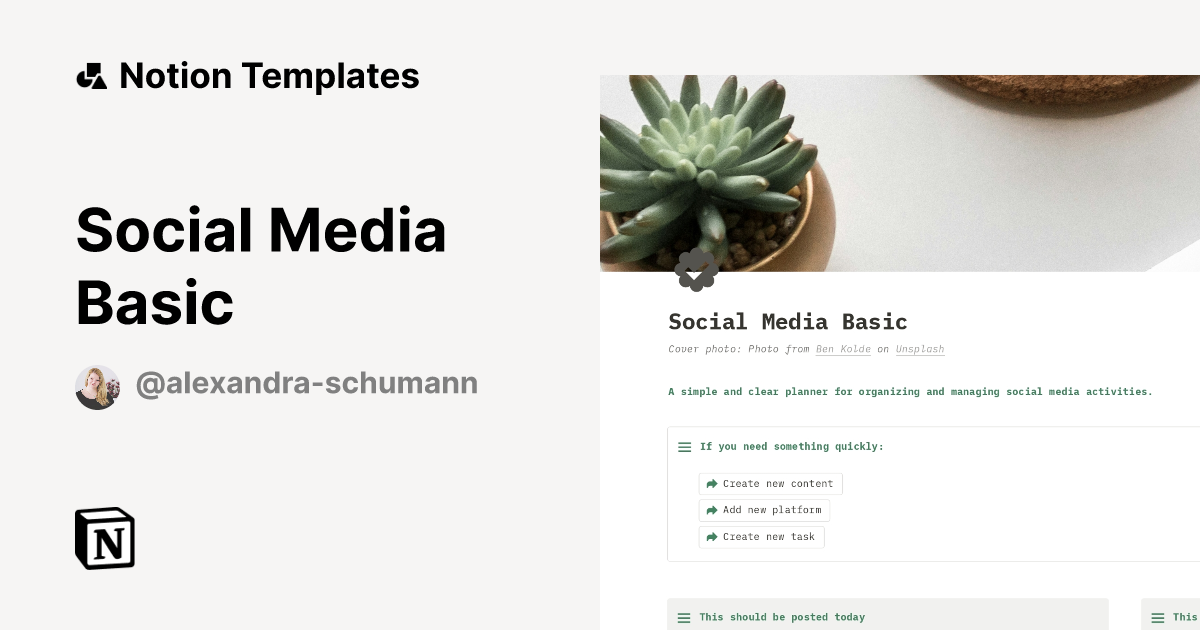Social Media Basic Template by Alexandra Schumann | Notion Marketplace