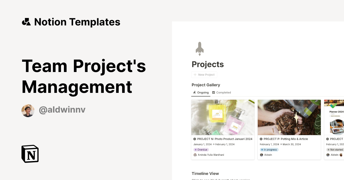 Team Project's Management Template | Notion Marketplace