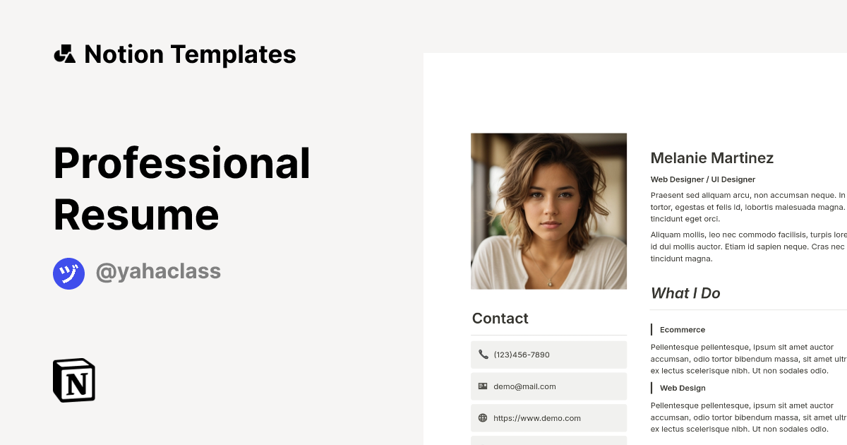 Professional Resume Template | Notion Marketplace