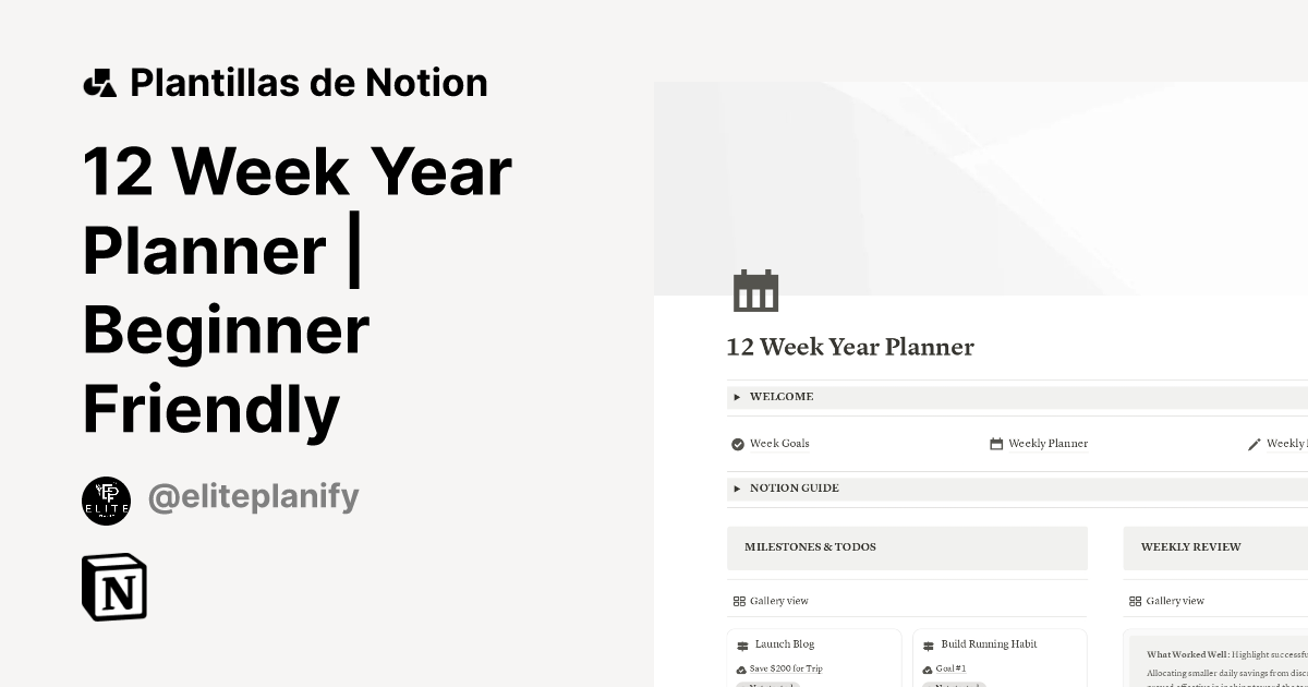 Plantilla 12 Week Year Planner | Beginner Friendly | Notion Marketplace