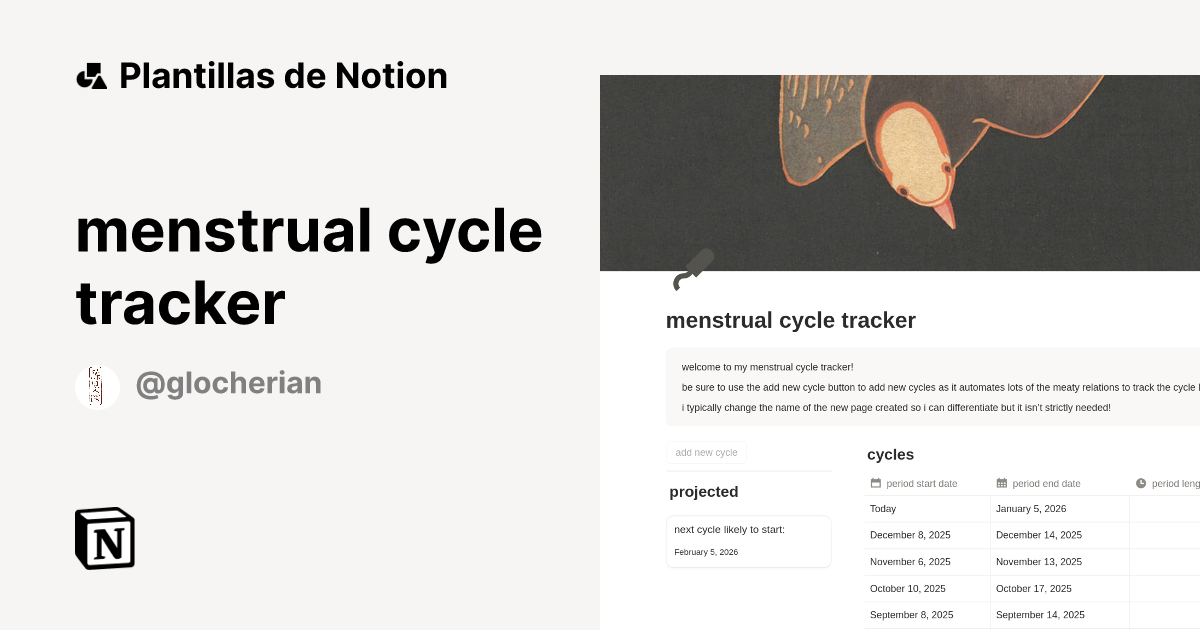 Plantilla menstrual cycle tracker | Notion Marketplace