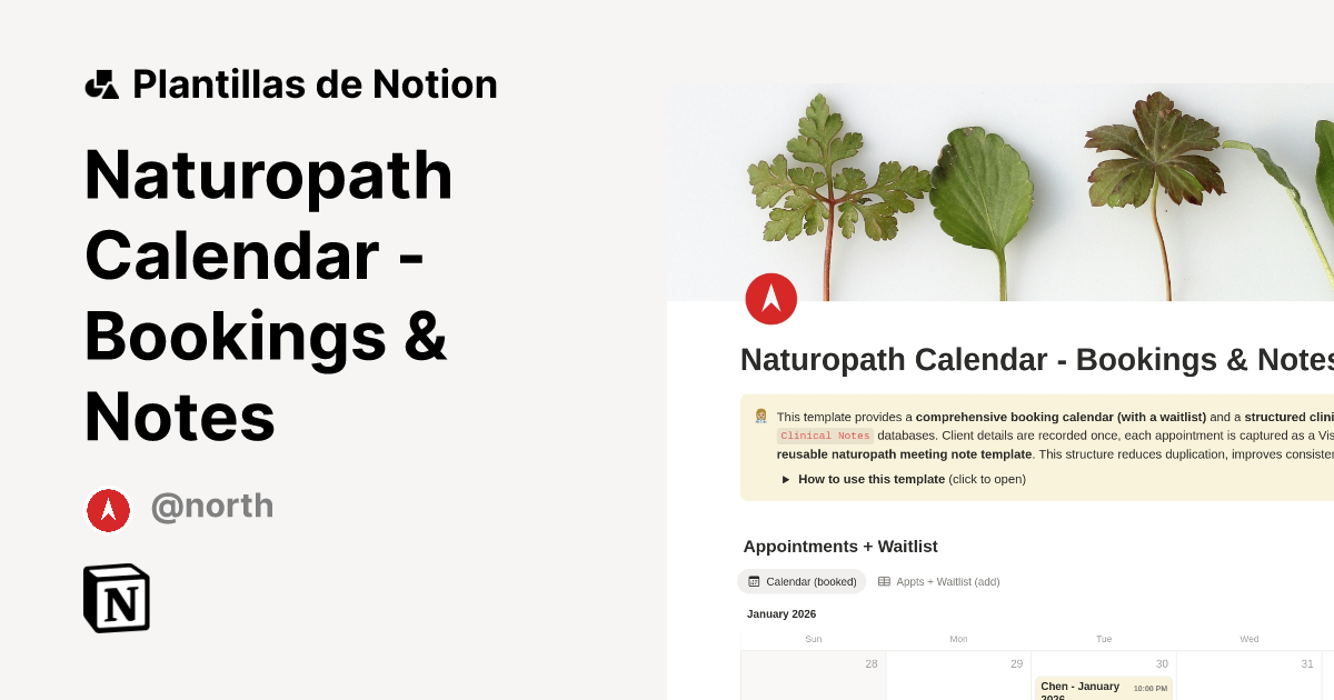 Plantilla Naturopath Calendar - Bookings & Notes | Notion Marketplace