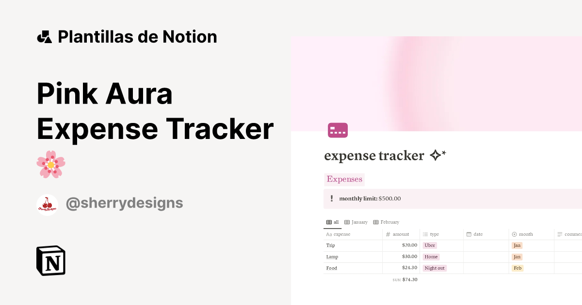 Plantilla Pink Aura Expense Tracker 🌸 | Notion Marketplace