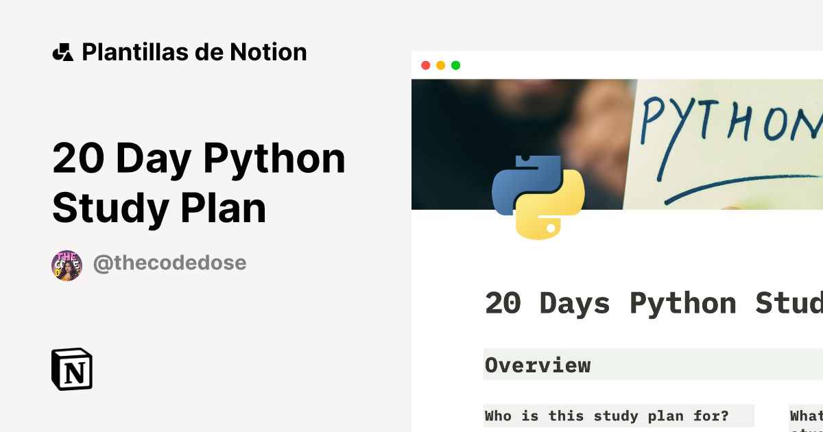 Plantilla 20 Day Python Study Plan | Notion Marketplace