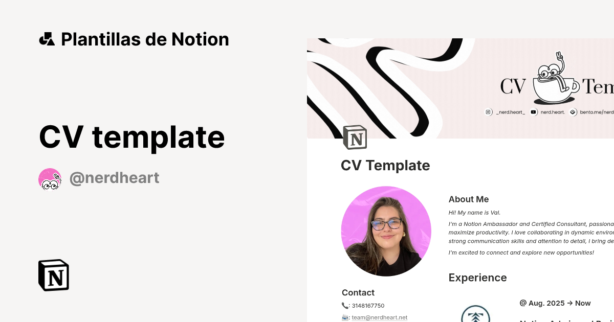 Plantilla CV template | Notion Marketplace