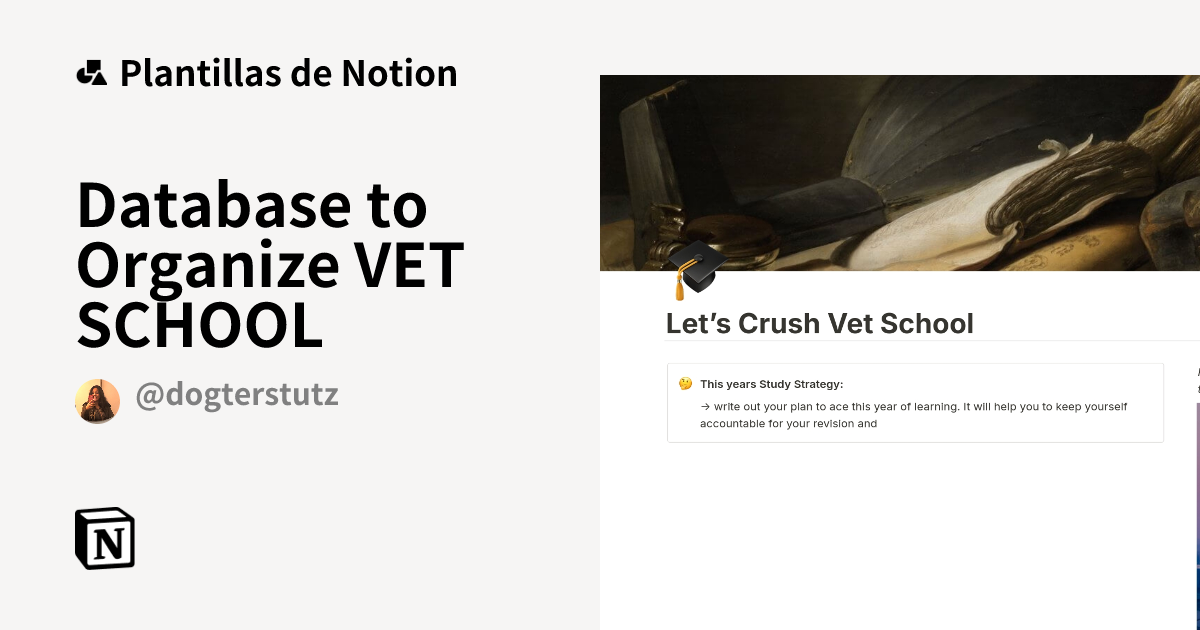 Plantilla Database to Organize VET SCHOOL | Notion Marketplace
