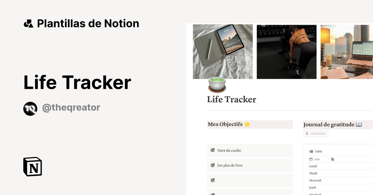 Plantilla Life Tracker | Notion Marketplace