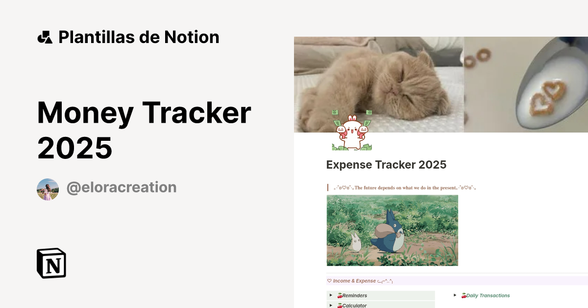 Plantilla Money Tracker 2025 | Notion Marketplace