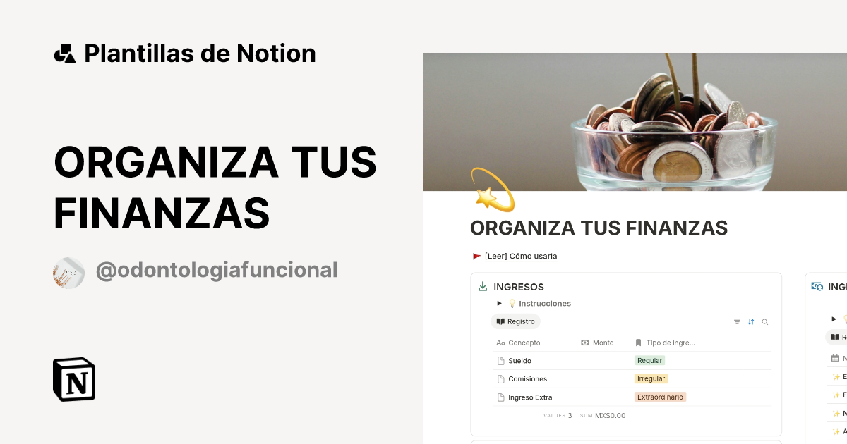 Plantilla ORGANIZA TUS FINANZAS de Finanzas para la vida y tu ...