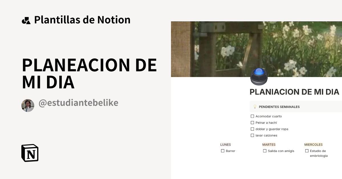 Plantilla PLANEACION DE MI DIA | Notion Marketplace