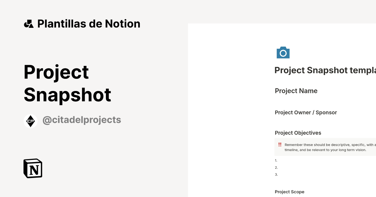 Plantilla Project Snapshot | Notion Marketplace