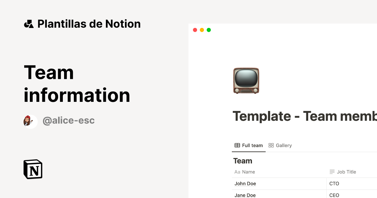 Plantilla Team information | Notion Marketplace