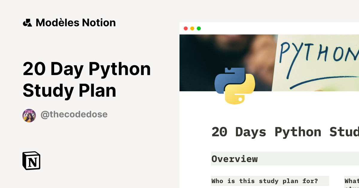 Modèle 20 Day Python Study Plan | Marketplace Notion