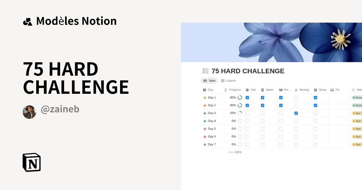 Modèle 75 HARD CHALLENGE | Marketplace Notion