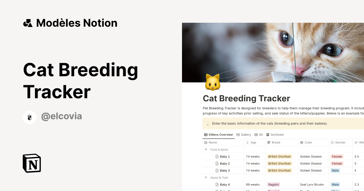 Modèle Cat Breeding Tracker | Marketplace Notion