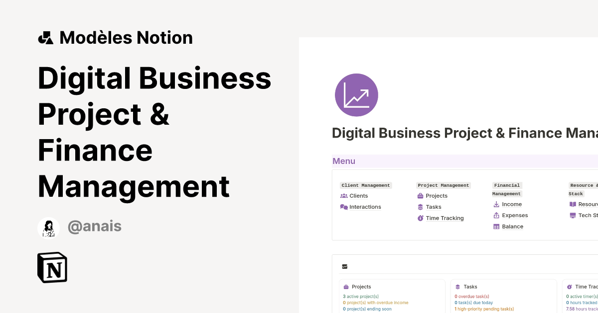 Modèle Digital Business Project & Finance Management | Marketplace Notion