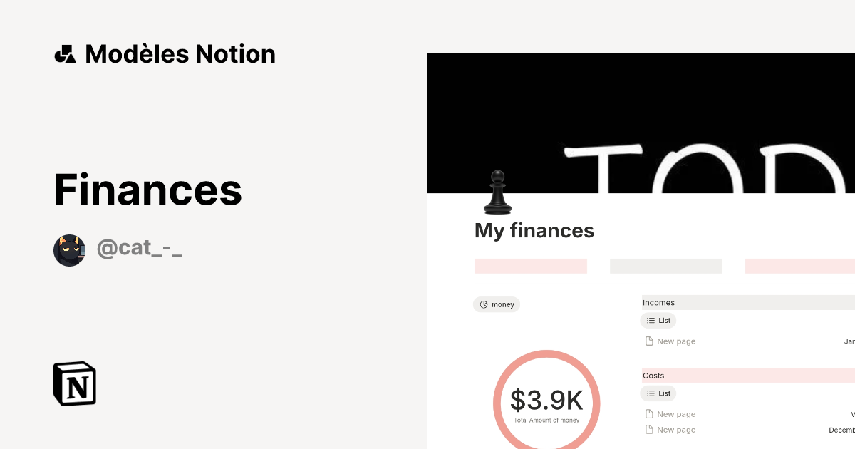 Finances | Modèle créé par Stylish_cat | Marketplace Notion