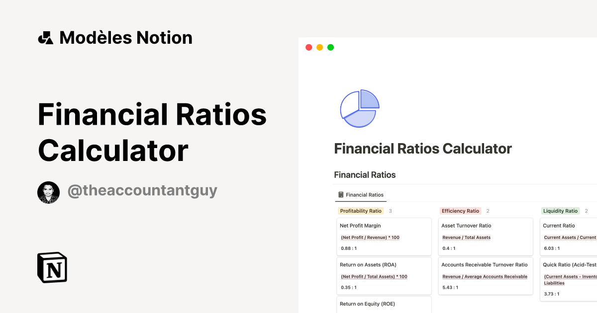 Modèle Financial Ratios Calculator | Marketplace Notion