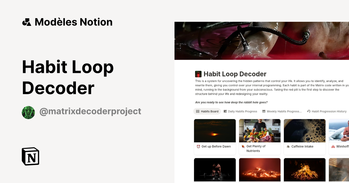 Modèle Habit Loop Decoder | Marketplace Notion
