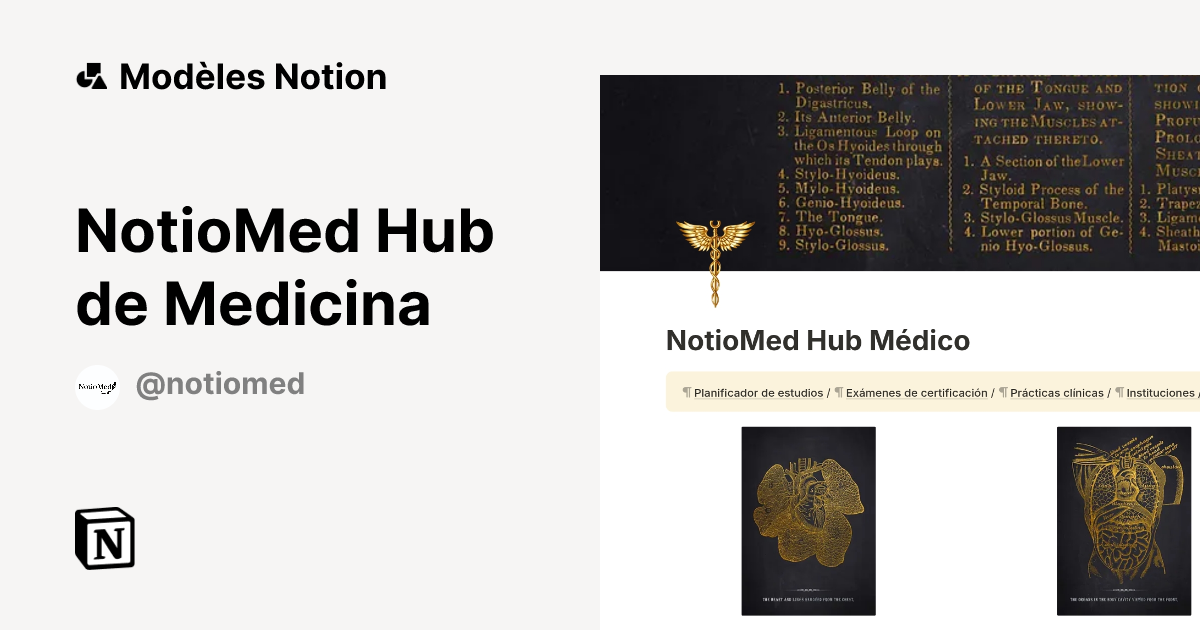 NotioMed Hub de Medicina | Modèle créé par NotioMed | Marketplace Notion